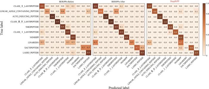 基于深度学习识别RiPPs前体肽及裂解位点
