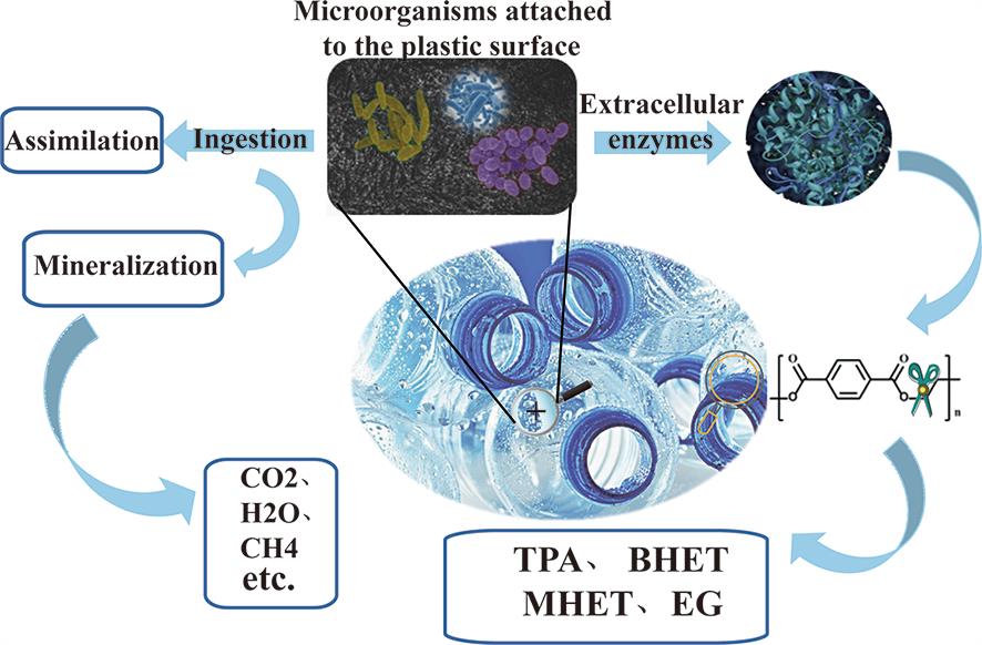 Research progress of polyethylene terephthalate in plastics green ...