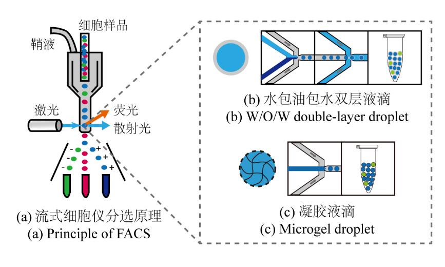 Advances and applications of droplet-based microfluidics in evolution ...