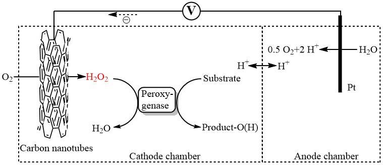 Review of research on unspecific peroxygenases （UPOs）