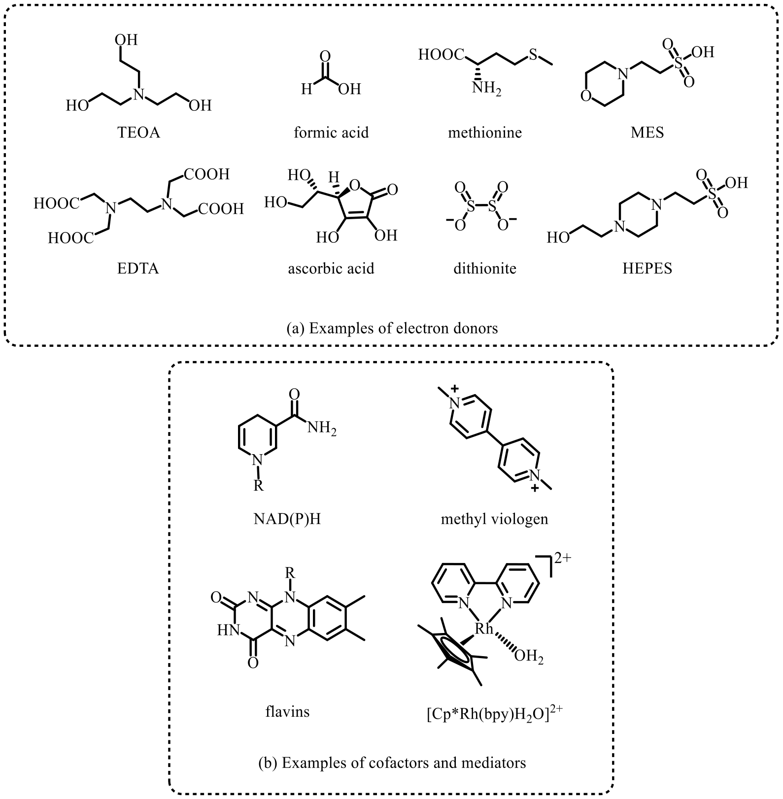 光酶催化合成进展