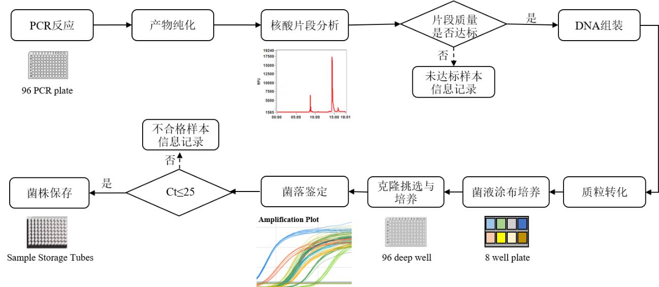 Establishment of iBioFoundry for synthetic biology applications