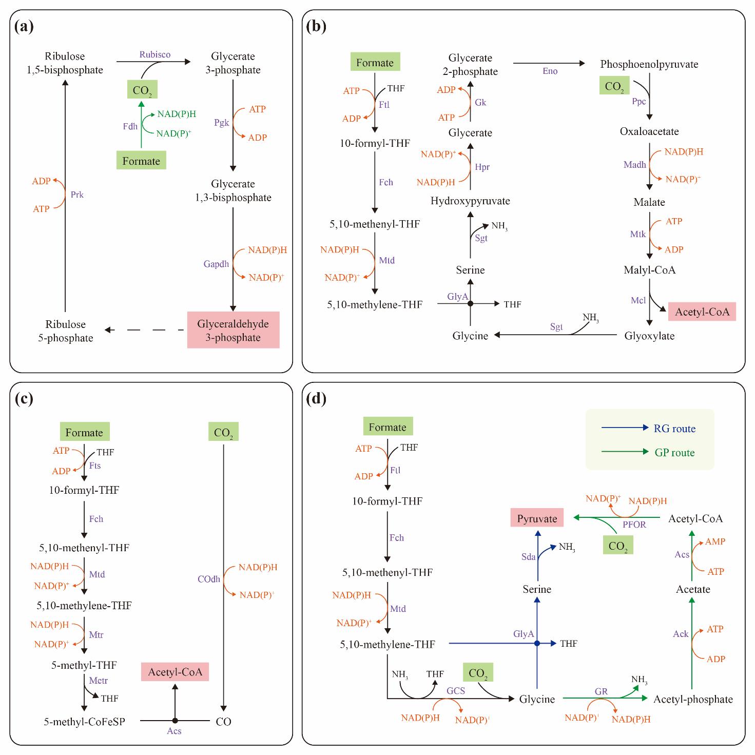 Progress in metabolic engineering of microorganisms for the utilization ...