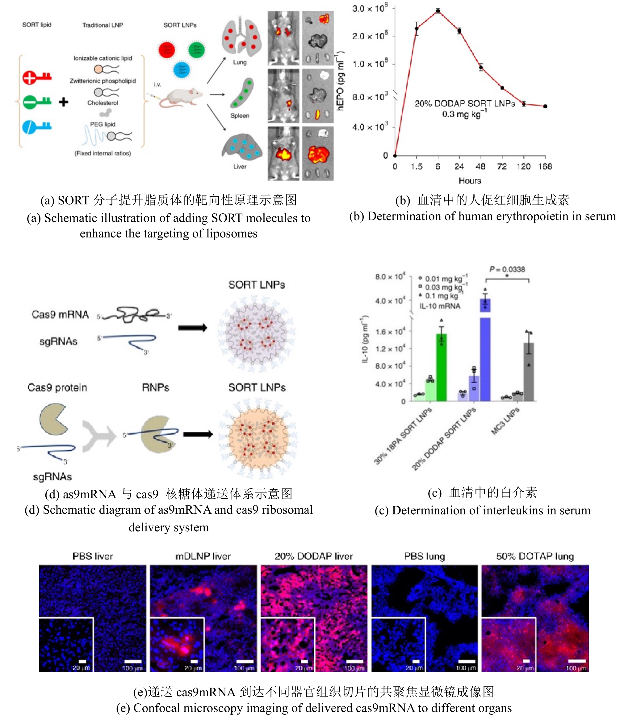 Fig. 4 Organ-targeting (SORT) nanoparticles for mRNA delivery and ...